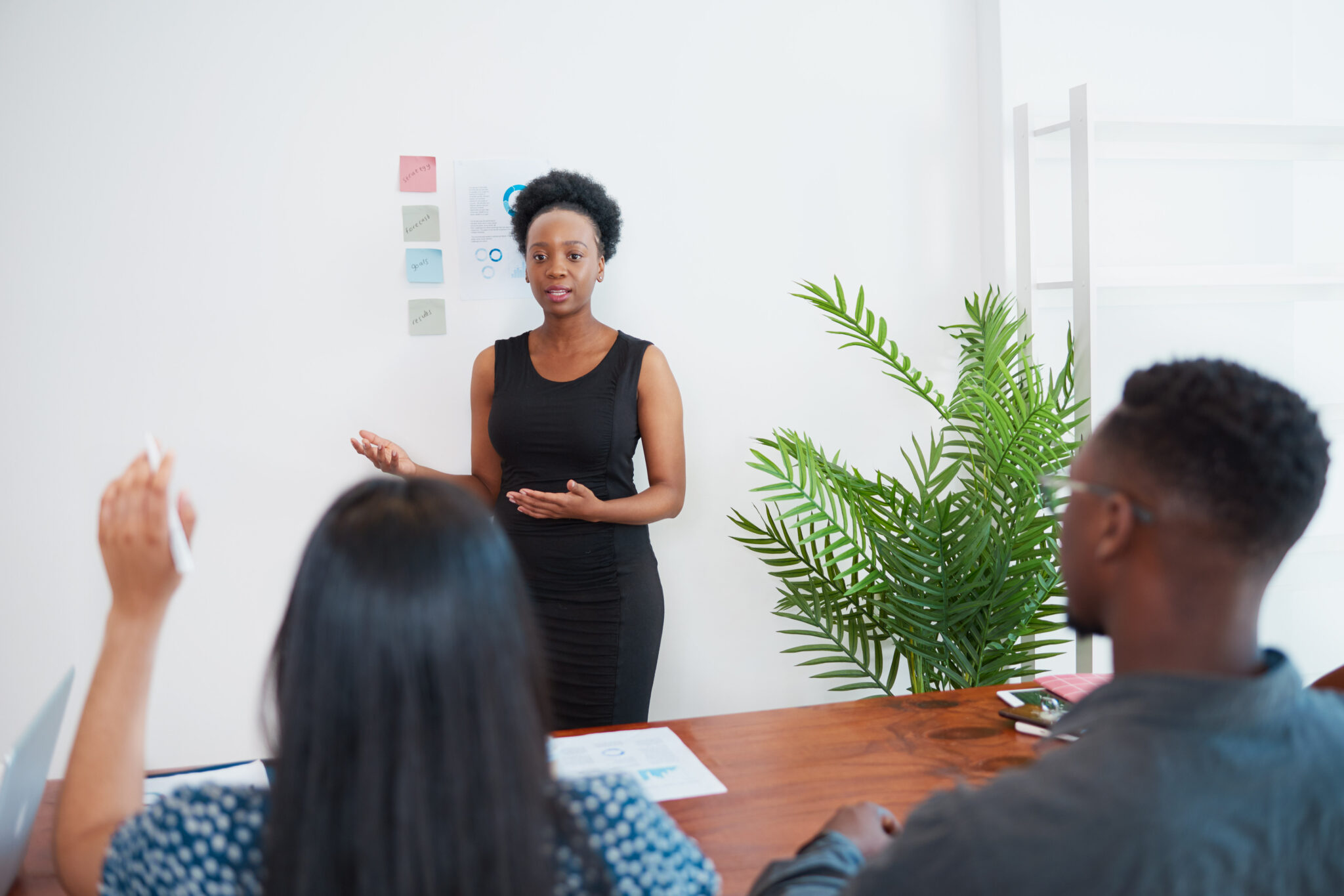 Ireme Invest – Rwanda’s One-stop Centre for Green Investment